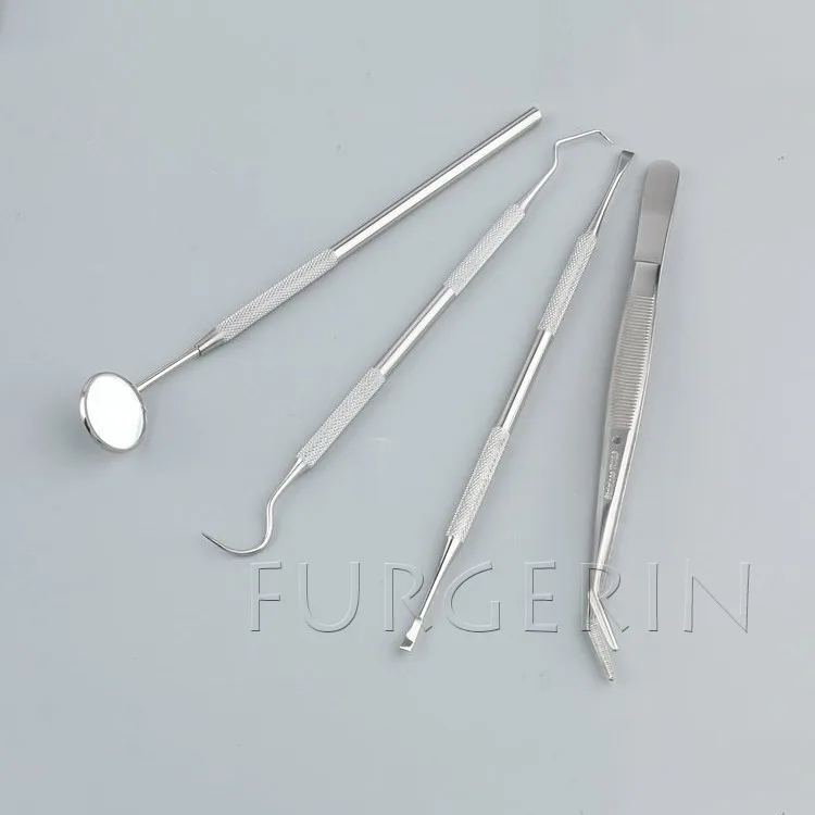 5 Pcs / Set Stainless Steel Dental Hygiene Kit For Dentist Oral Care ...