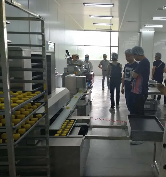 Kube Food - Koupes Machine - Kabab Case - Professional Kubbeh Maker