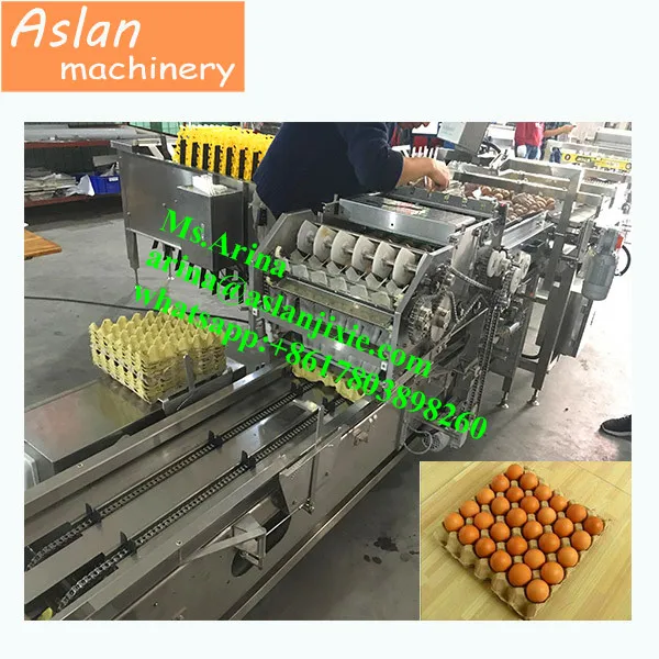 25000pcs/h Egg Tray Packer - Efficient Egg Grading Machine