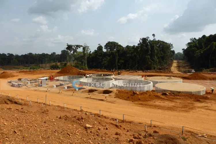 Small Capacity Cil Process Method Carbon In Leach Mining Equipment 95% ...