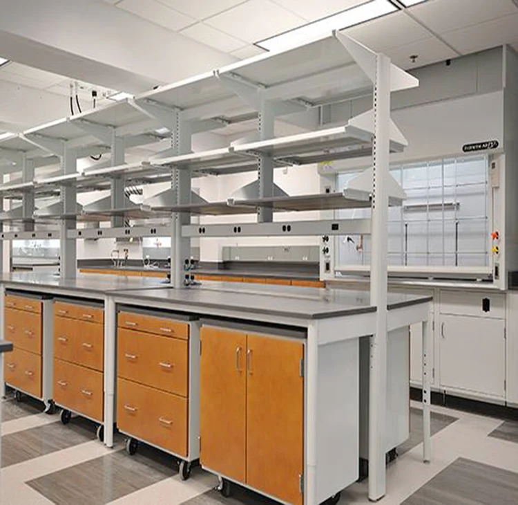 Chemical Lab Work Table Physics Lab Table With Cabinet For School - Buy ...