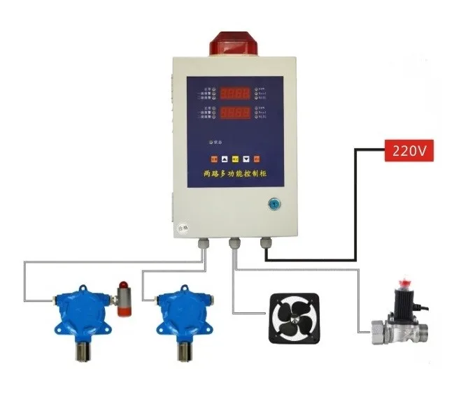 Fixed Natural Gas Leak Detectorlel Co Gas Detection Controller Gas Leak Detector Alarm