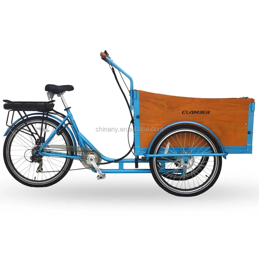 Hot Sell Three Wheel Cargo Tricycle Ebike,Family Cargo Bike - Buy 3 ...