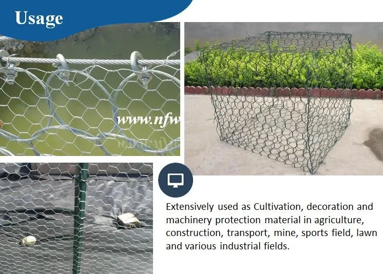 Galvanised Poultry Wire Mesh - Durable and Corrosion Resistant