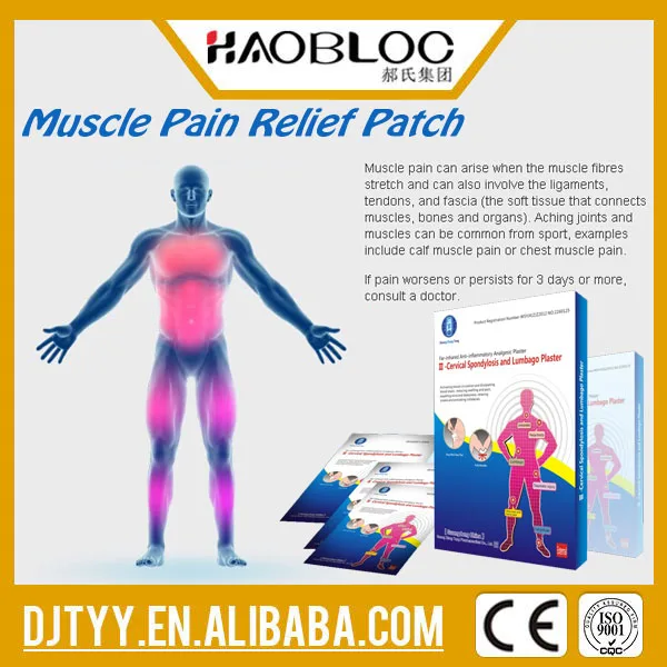Pain Relief Patch Chinese Plasters Kits Medical Muscle Aches Rheumatism ...