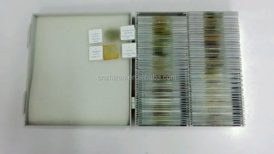 Hot Selling Fixed Set 100pcs Mineral Thin Section Slides Prepared ...