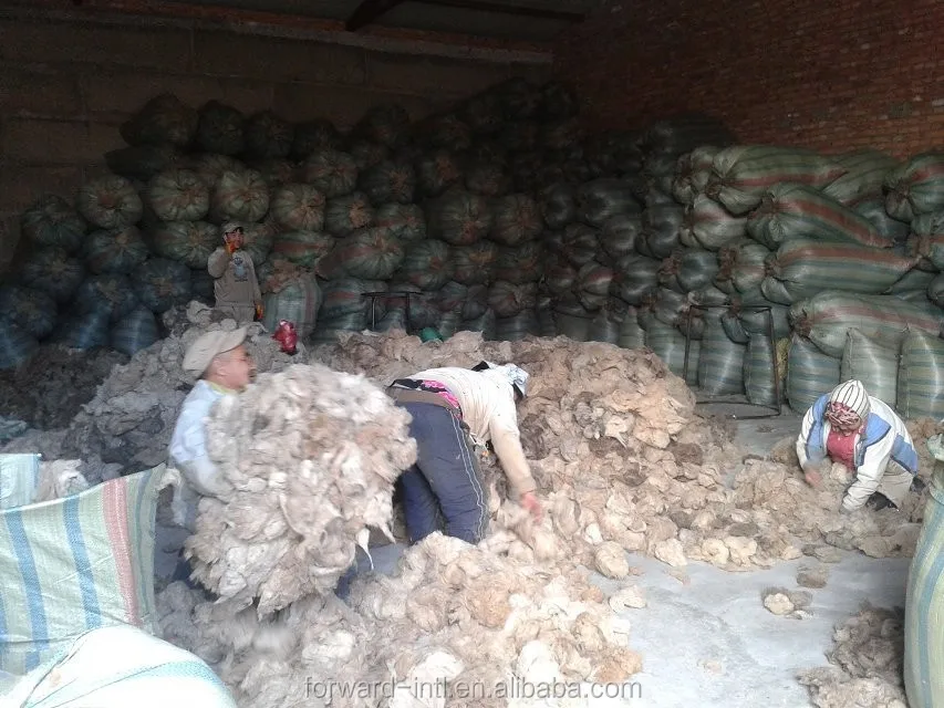 100% Pure Mongolia Dehaired Pashmina Wool Fiber Cashmere Fibre From ...