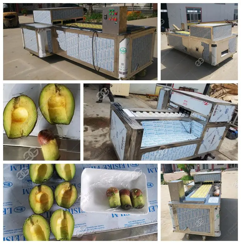 Automatic Avocado Pitting - Efficient Stone Fruit Pitter