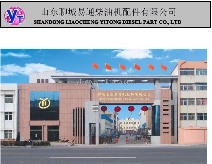 High Precision Fuel Injection Pump Plunger 7w0182 - Buy Pump Plunger ...