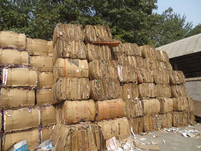 Recycled Waste Carton Paper Production Line - Efficient Recycling