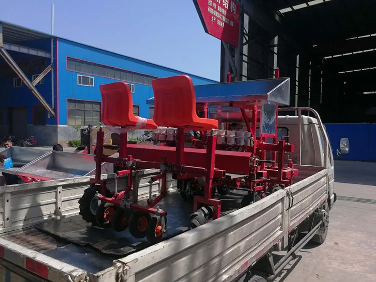 Sugar Beet Seedlings Transplanting Machine Eggplant Seedlings Planting ...