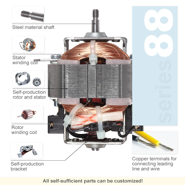 Carbon Brushes Single Phase Ac Electric Universal Toothbrush/ Brush ...