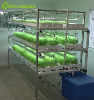 Hydroponic Microgreens Growing System - Buy Hydroponic Microgreens ...