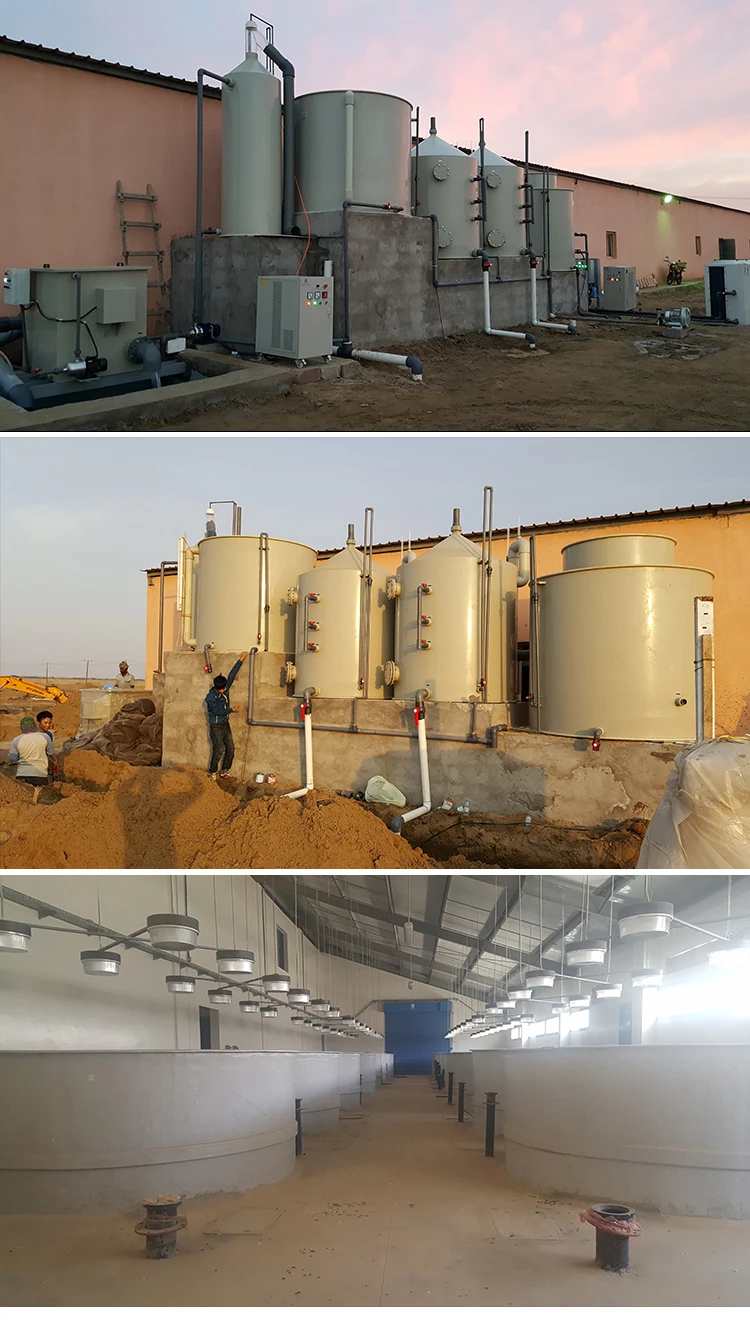 Saudi Arabia Indoor Ras/shrimp Farming Equipment/fish Farm Ras