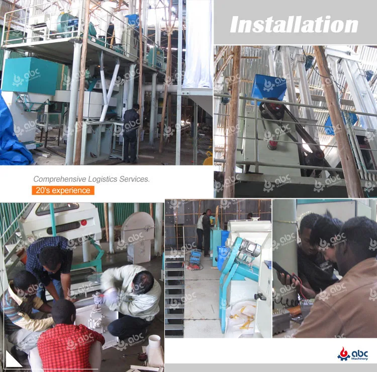 20T Lentil Processing Plant - Efficient Bean Skin Peeling