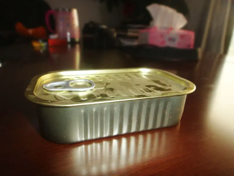 Wholesale Food Grade Oval Canned Fish Tin Cans For Food Canning - Buy ...