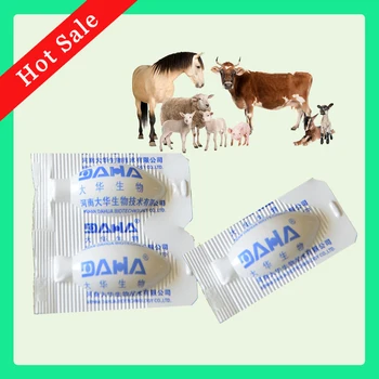 Cow Medicine Drugs Antibiotics For Vaginal Iinfection Chlorhexidine ...