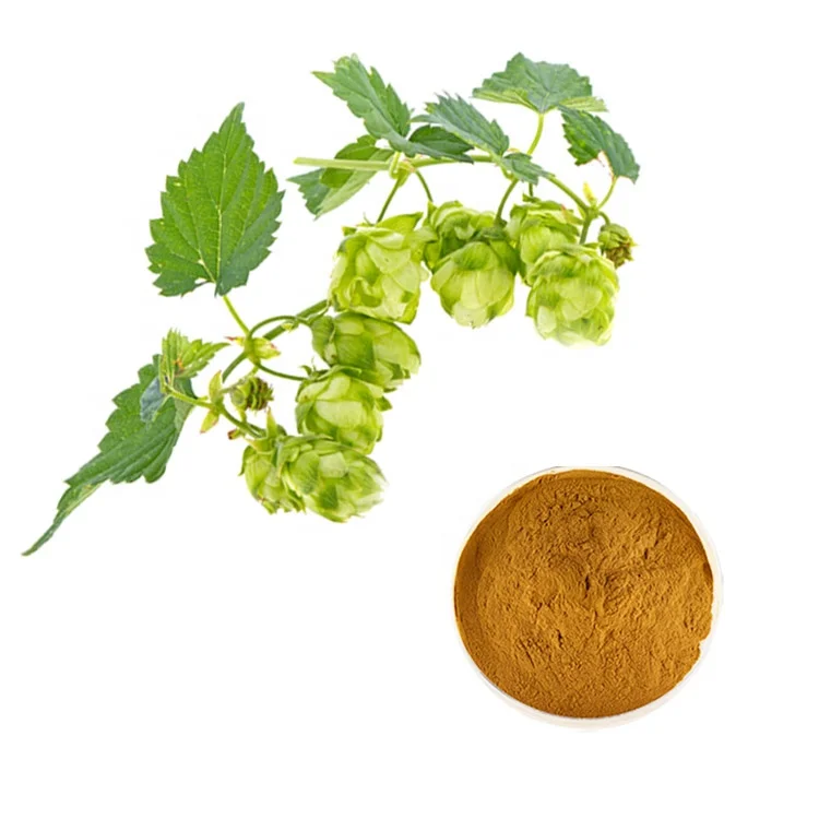 HONGDA Factory Supply Humulus Lupulus Hops Extract Hops
