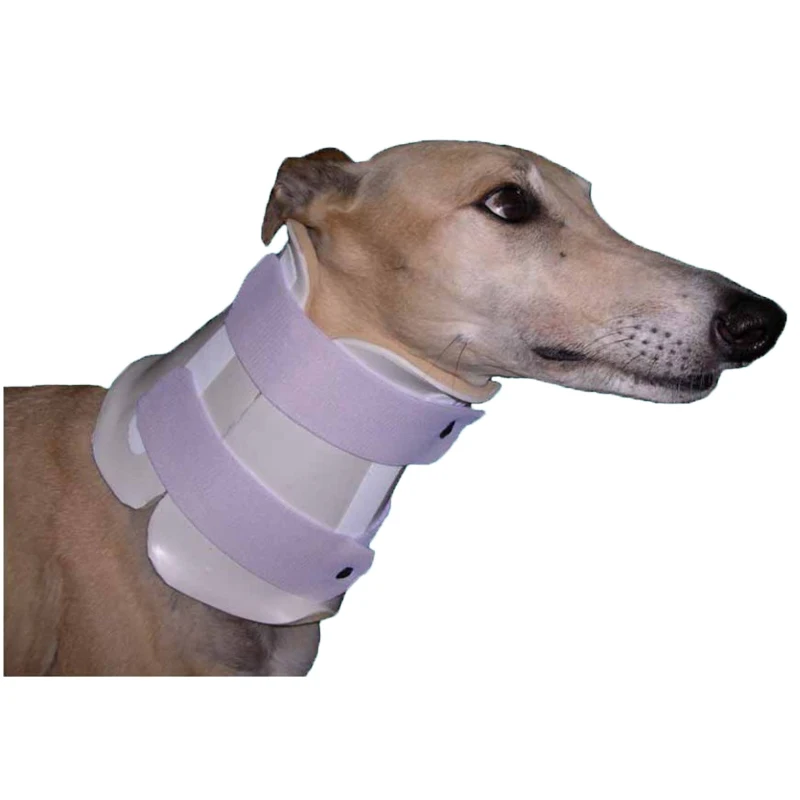 Lttp Low Temperature Thermoplastic Splinting Material Veterinary Used ...