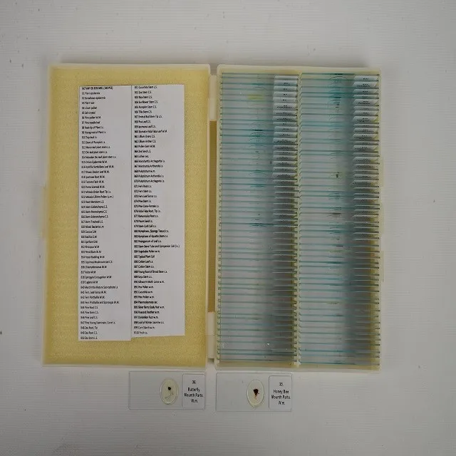 Microscope Histology Human and Medical Prepared Histology Slides Set ...