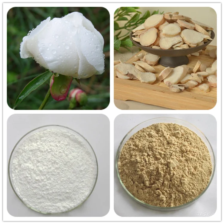 Hot Sale White Peony Paeonol Extract Powder Paeonia Albiflora Root ...