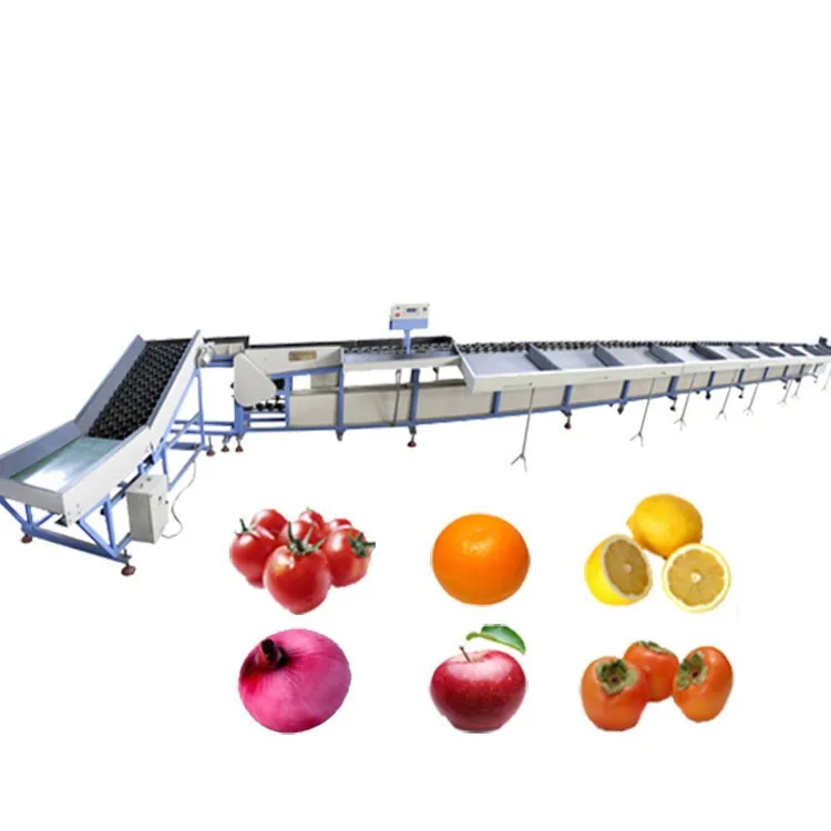 Fruit And Vegetable Sorting/grading Machine - Buy Fruit Sorting Machine ...