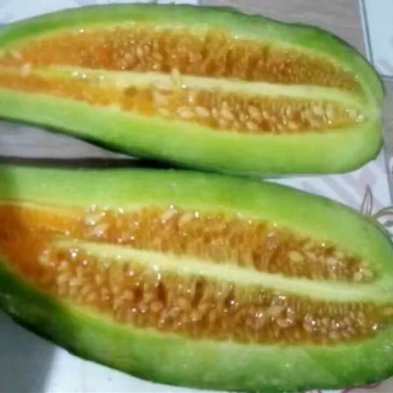 Shouguang Sheep Horn Honey F1 Hybrid Melon Seeds - Buy Melon Seeds ...