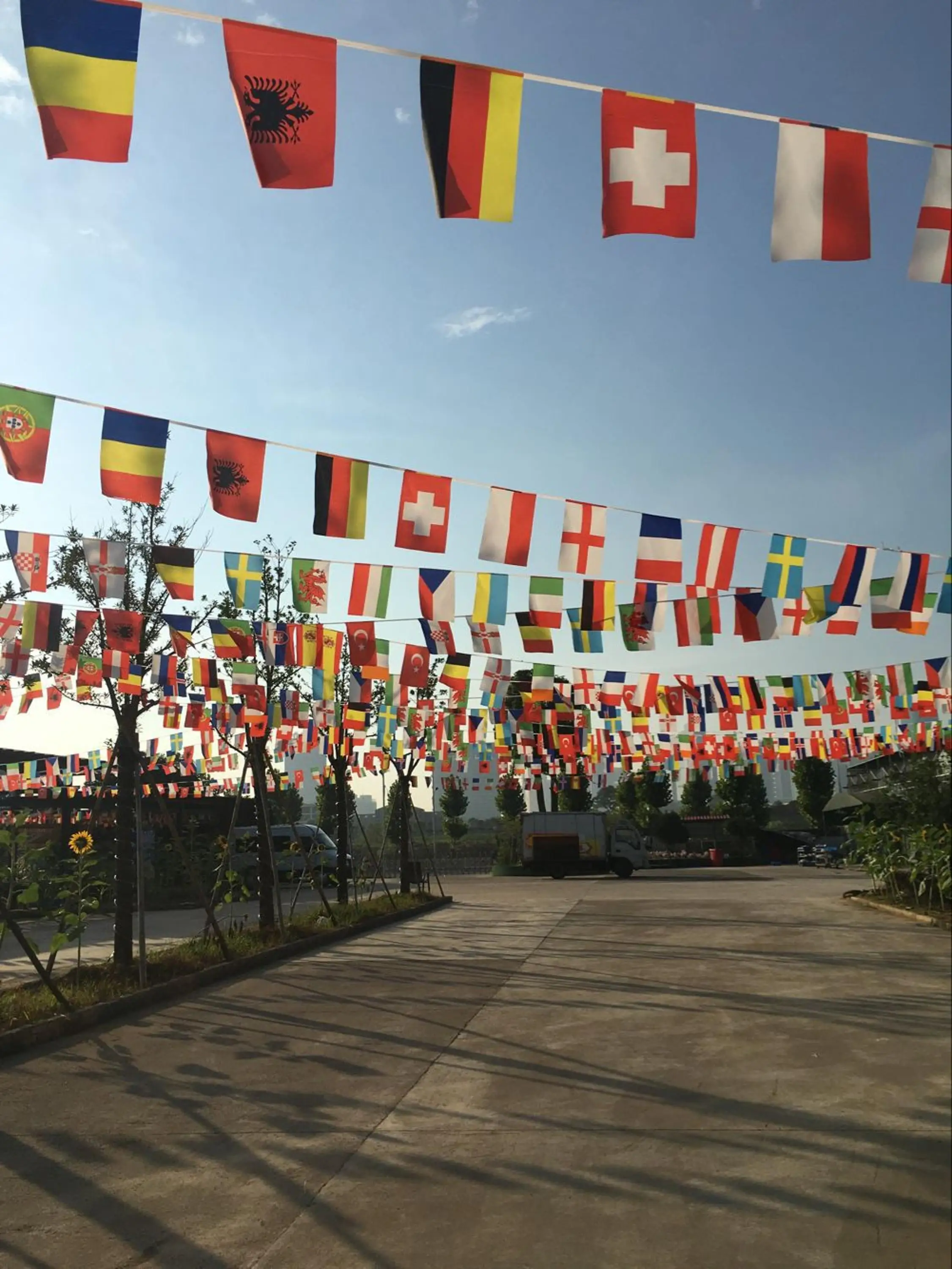 Promotional Custom Printing Polyester Brazil Country Flags,Brazil ...