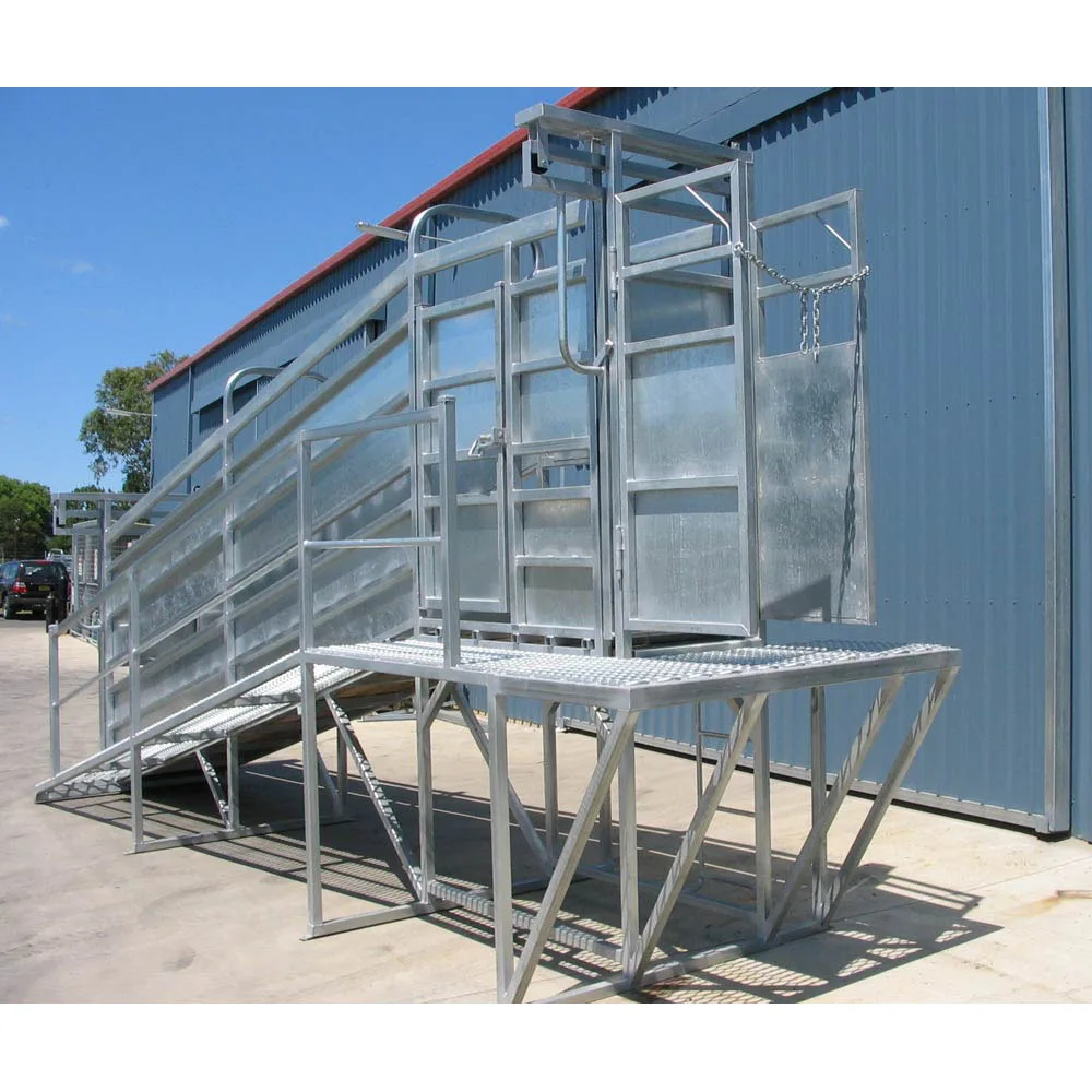 Livestock Handling Equipment - Galvanized Cattle Ramps