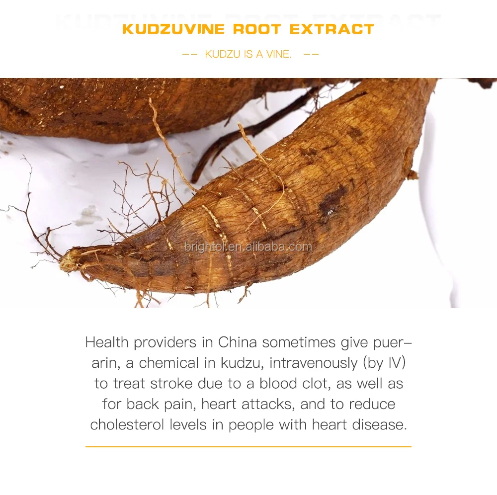 High Quality Pueraria Lobata/radix Puerariae/lobed Kudzuvine Root ...