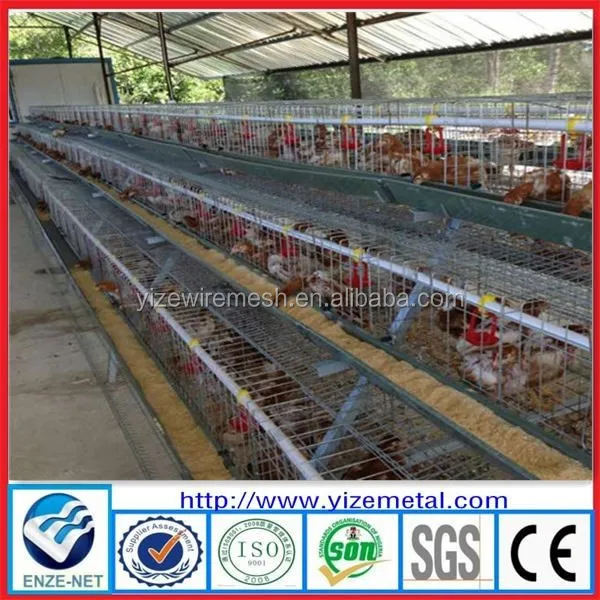 China Manufacturer Chicken Duck Cages As Farm Equipment /galvanized Or ...