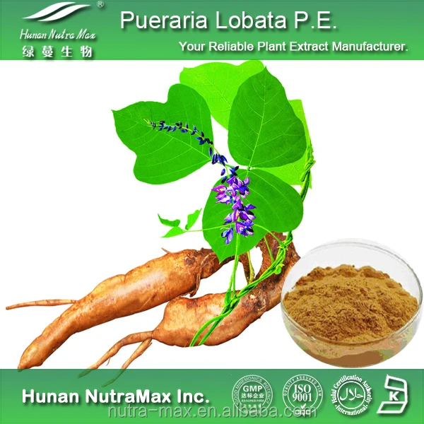 China Supplier Kudzu Root Extract Powder Puerarin 30% - Buy Kudzu Root ...
