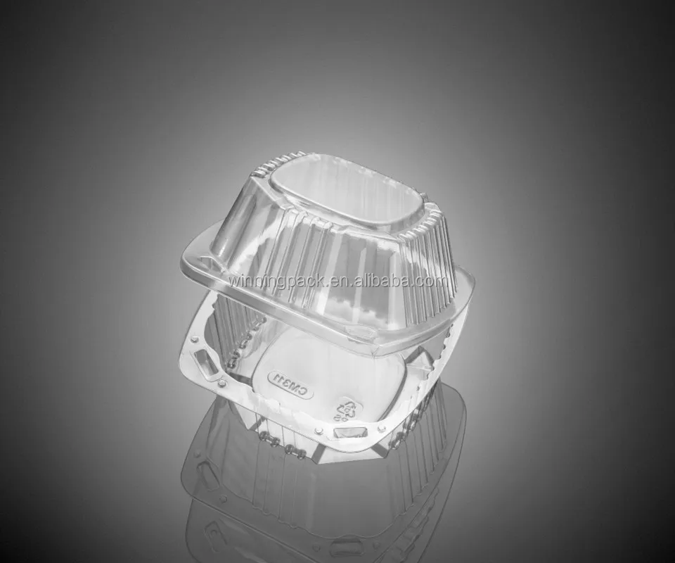 Transparent 5 And 6 Inch Clamshell Hinged Container - Buy Hinged ...