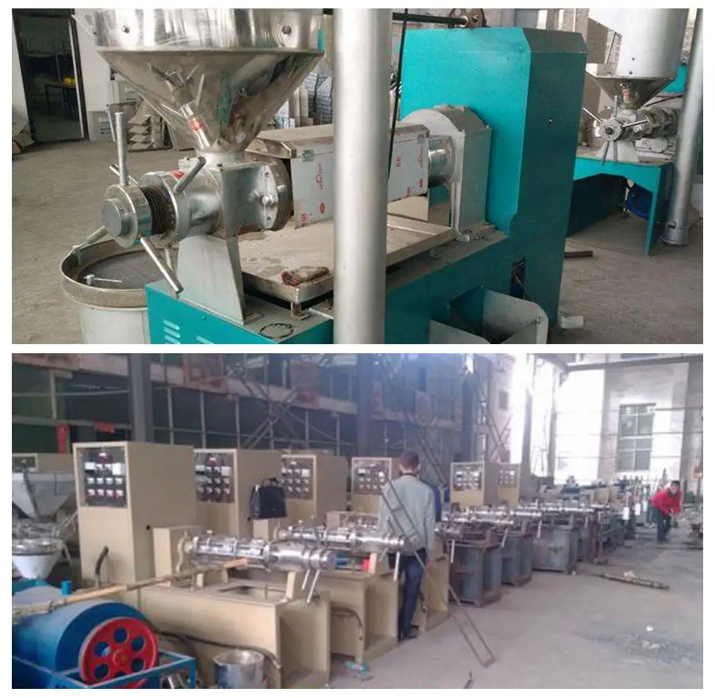 Factory Price Africa Shea Nut Shea Butter Screw Oil Press Machine With ...