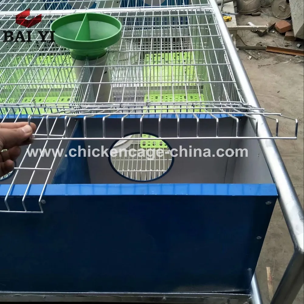 Commercial Aluminum Rabbit Battery Cage In Kenya Farm (h & A Type ...