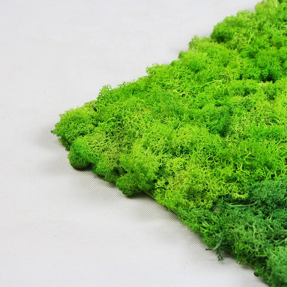 Wholesale Green Color Preserved Fresh Natural Moss For Wall Decorations ...