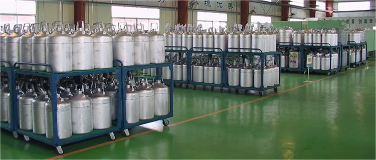 30L, 50L, 100L, 150L, 200L, 230L, 240L self-pressurized liquid nitrogen ...