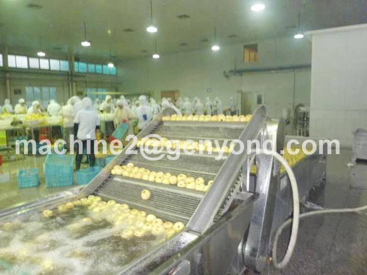 Custom Made Mushroom Production Line With High Quality - Buy Mushroom ...