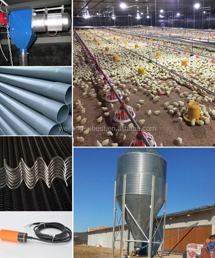20% Discount Poultry House Automatic Auger Feeding System For Chicken ...
