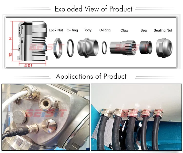 High Quality Stainless Steel Cable Gland Price Cable Grand