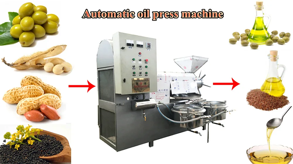 Automatic Commercial Use Corn Oil Making Machine Screw Oil Press ...