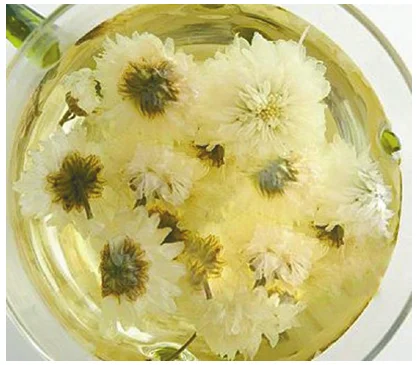 Wholesale Chinese Ju Hua Tea - Dendranthema Indicum