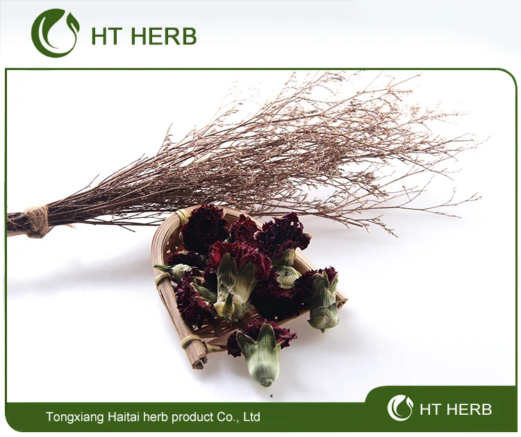 Hot Sale Fresh Handmade Carnation Dried Carnations Flower - Buy Fresh ...