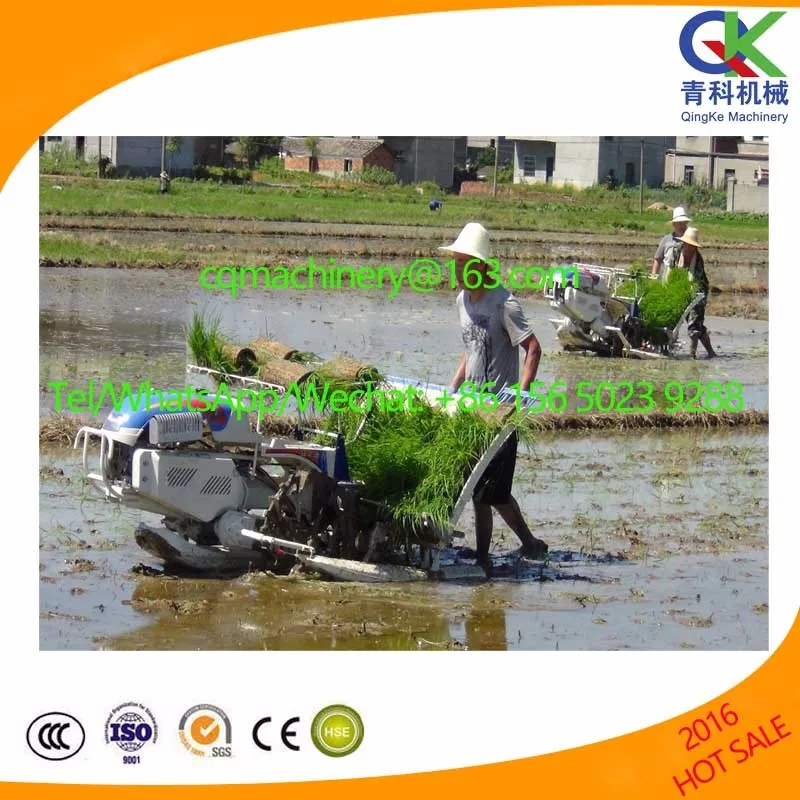 Agriculture Machinery Seeders/rice Seedling Transplanter/manual Rice ...
