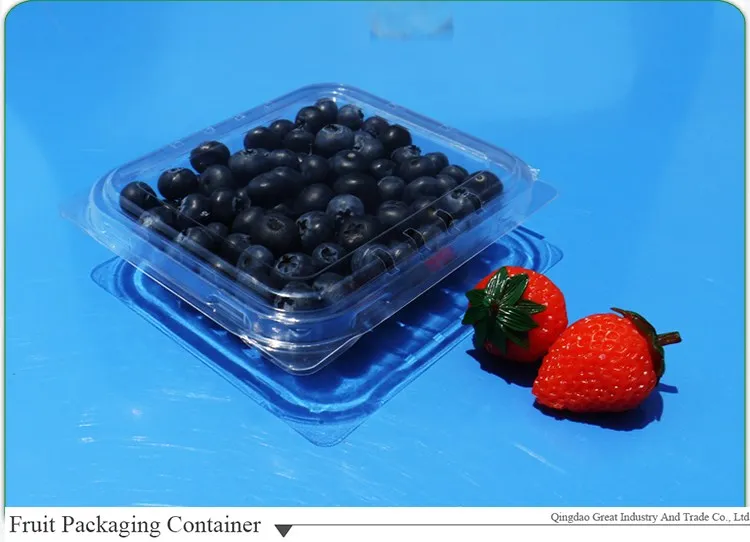 Disposable Plastic Blister Blueberry Clamshell Container Packaging ...