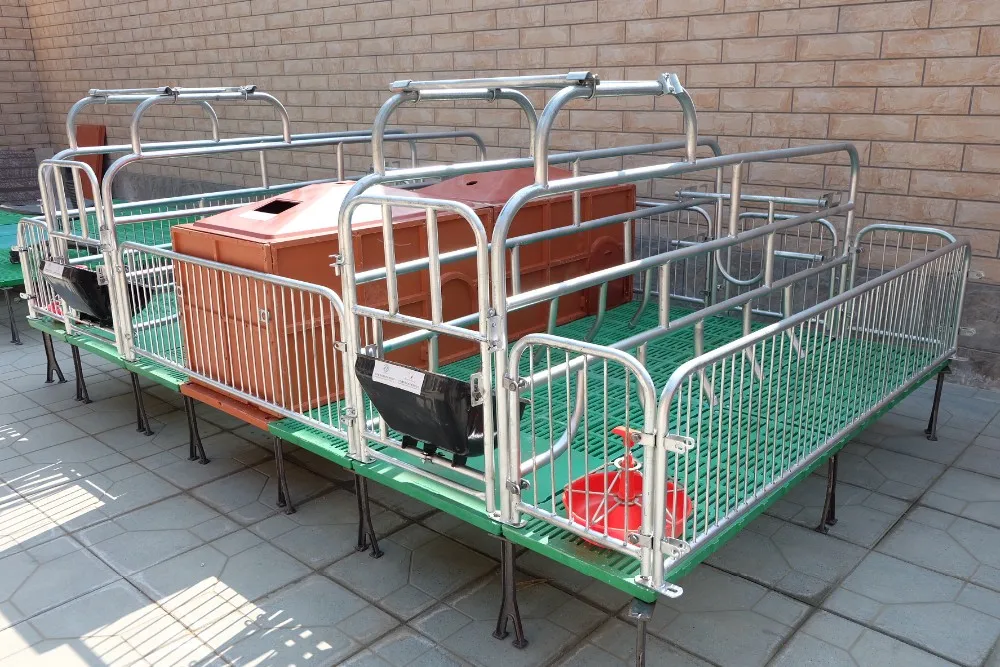 Pig Farming Equipment With Farrowing Crates For Sale - Buy Pig Farming ...