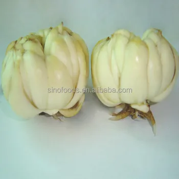 Bai He Lily Bulb Dry Flower Herbal Lilium - Buy Herbal Lilium,Oriental ...
