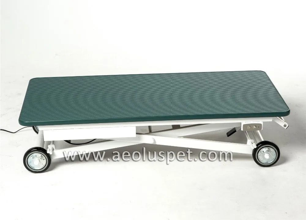 Ft-833e Foldable Electric Pet Grooming Table Dog Show Table With ...