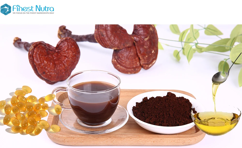 Best Selling Cell Wall Broken Reishi Spore Powder - 2 Year Shelf Life