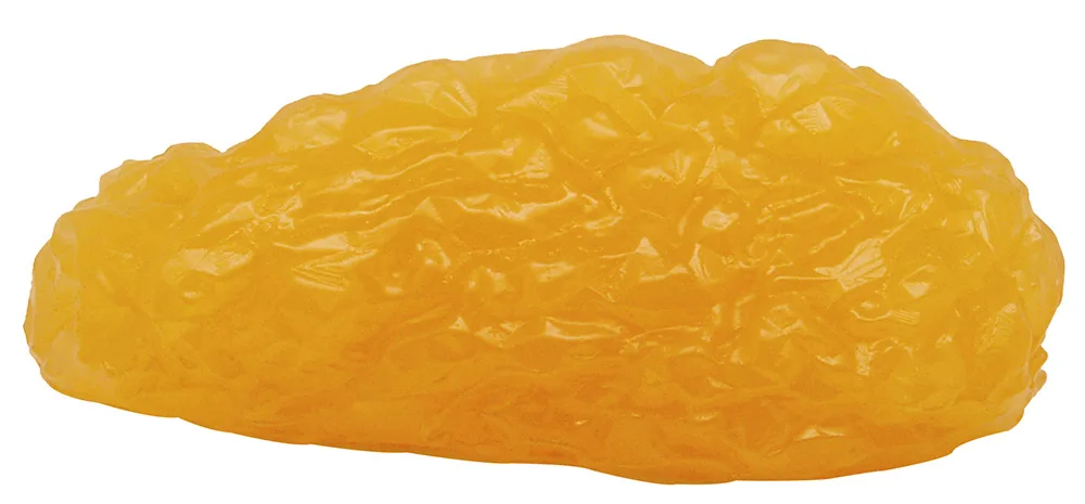 2lbs Anatomical Fat Model - Realistic TPR Body Model for Medical ...